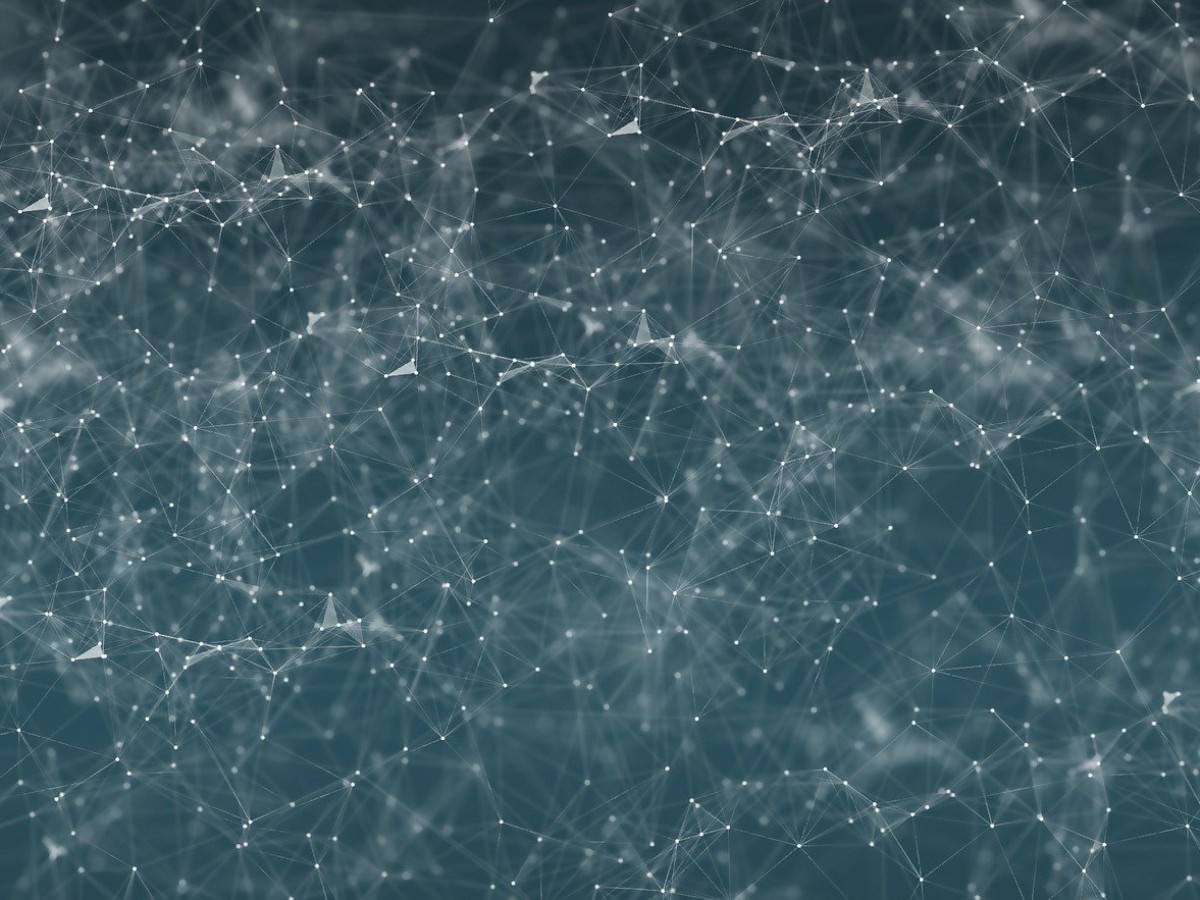 LIVEREPORTING - PETROVAL